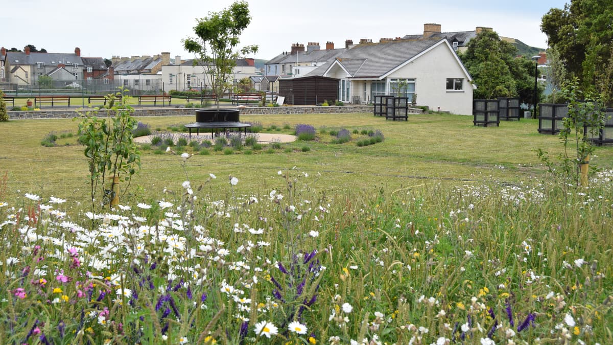Community garden and hub opens in Aberystwyth | cambrian-news.co.uk
